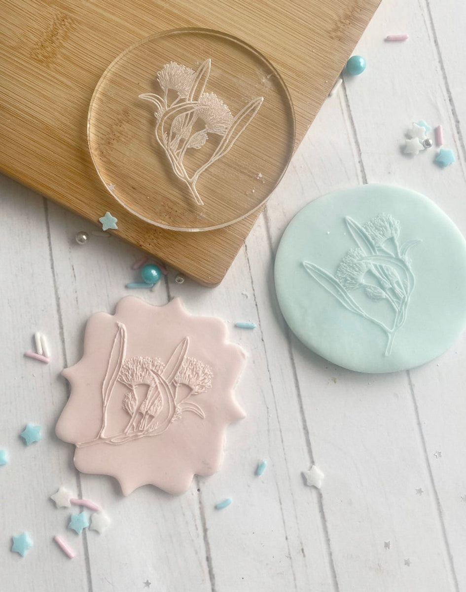 Gum nut – Creating Monkies
